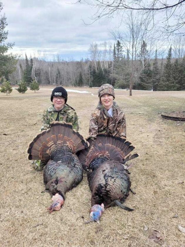 Wildlife Unlimited marks four decades of turkey success in UP | News ...